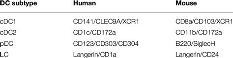 Main Surface Markers Of Human And Mouse Dc Subtypes Download Table