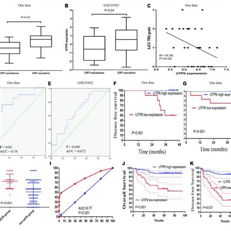 Workflow Diagram Of Data Preparation Processing Analysis And