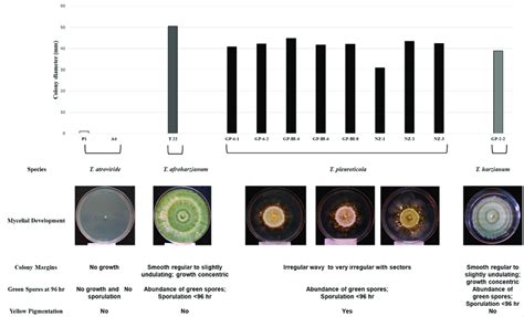 Morphological And Physiological Characteristics Of Trichoderma Isolates Download Scientific