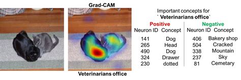 161002391 Grad Cam Visual Explanations From Deep Networks Via
