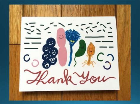 Cryptococcus Neoformans For Bmit Classpptx