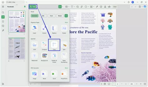 How To Add Crop Marks In Indesign Detailed Guideupdf