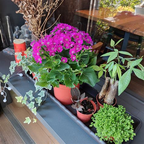 · 饟饟 飯盒 · 中餐飯盒 · ★ 南科外送服務啟動⭕ ★開店時間 星期一～星期六（星期日公休哦） 親愛的💋南科朋友們👨‍👩‍👧‍👦👩‍👩‍👧，饟饟現在有提供外送南科服務囉：） 試賣