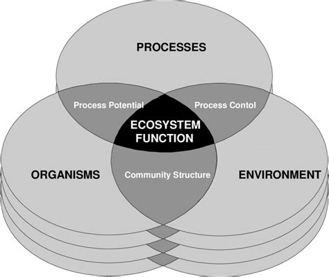 Hierarchical Model Of Ecosystem Function Through Integration Of