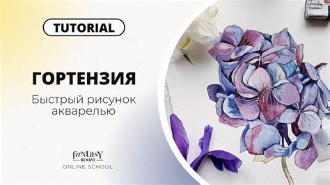 Рисуем ботаническую иллюстрацию акварельными красками Гортензия Youtube
