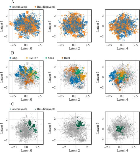 Evozyne、英伟达 ｜ Prot Vae 用于蛋白设计的蛋白transformer变分自编码器 智源社区