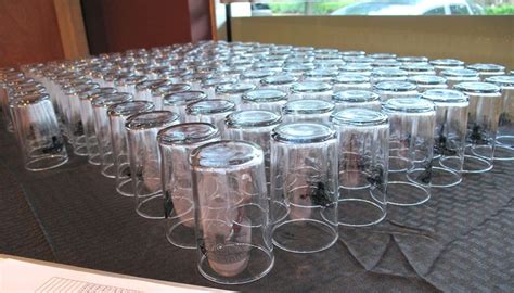 Vu Sampler Glasses Brewery Tour Souvenir