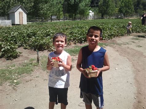 Kisses And Crumbs Fieldtrip 101 Rileys Farm