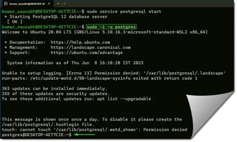 how to connect postgresql database in linux
