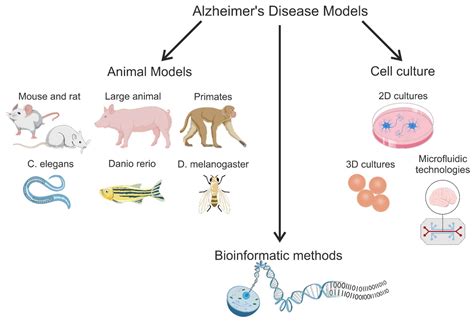 Modeling Alzheimers Disease A Review Of Gene Modified And Induced