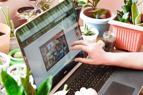 OS MELHORES CURSOS ONLINE GRATUITOS