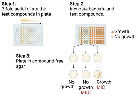 Antimicrobial Susceptibility Testing Microdilution Technique Nc Dna