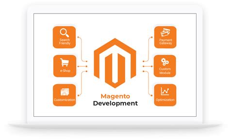 Magento Development Services Custom Magento Solutions Perceptioncare