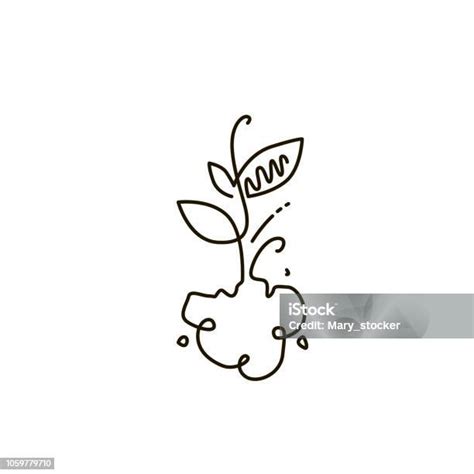 벡터 라인 아이콘입니다 새싹 원 예입니다 한 라인 도면입니다 흰색 배경에 고립 벡터에 대한 스톡 벡터 아트 및 기타 이미지 벡터 아이콘 씨앗 Istock