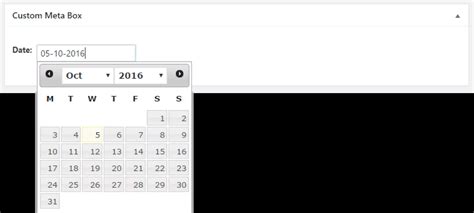 Datepicker Custom Field