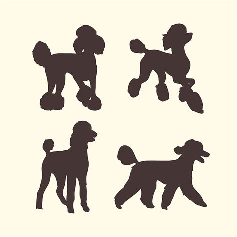 Cockapoo Svg Bilder Kostenloser Download Auf Freepik