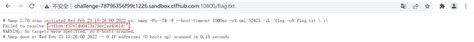 ctfhub 2020 网鼎杯 朱雀组 web nmap（单引号逃逸、nmap写文件） zhengna 博客园