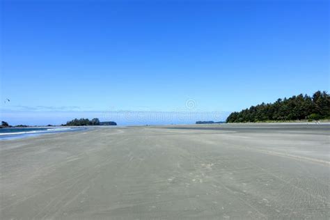 A Full Wide View Of The Beautiful Chesterman Beach At Low Tide Outside
