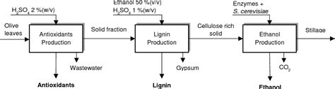figure 1 from simulation approach through the biorefinery concept of