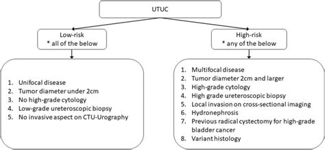 Risk Stratification Of Non Metastatic Utuc 28•• Adapted From The Eau