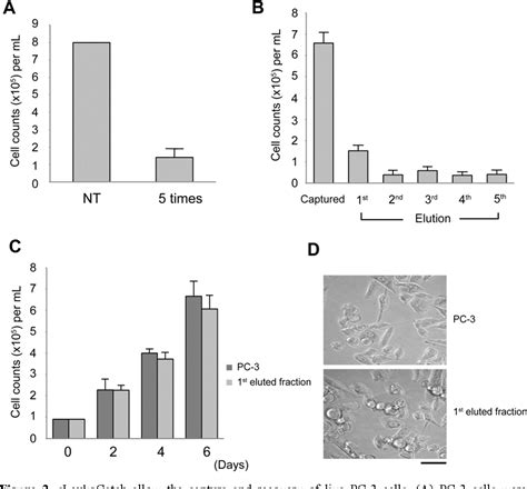 Figure 2 From A Simple And Efficient Method For The Preparation Of Live