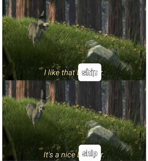 Me Whenever Cig Ignores The Bug Ive Been Complaining About And Releases A New Ship Instead R