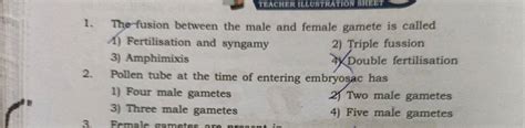 1 The Fusion Between The Male And Female Gamete Is Called1 Fertilisati
