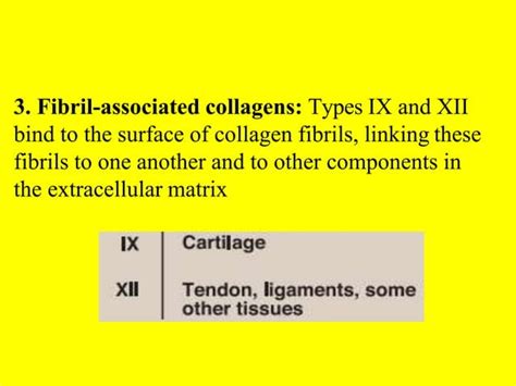 Lec5 Fibrous Proteins Ppt