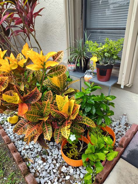 Transform Your Space Into A Seat Of Wisdom Plant Nursery Facebook