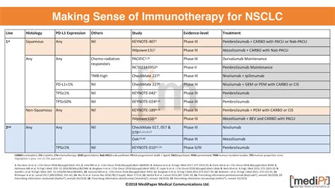 Making Sense Of 1st Line Immunotherapy In Non Small Cell Lung Cancer