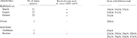 Characteristics In Which The Twenty Four Strains Of Bacillus Cereus Download Scientific Diagram