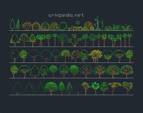 Tree Drawings Appearance Arkipedia EN