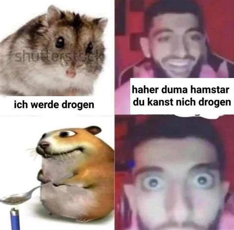 Hamsdar Kan Drogn R Okbrudimongo