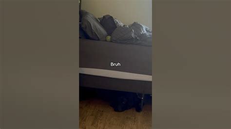 He Got Stuck Under The Bed Youtube