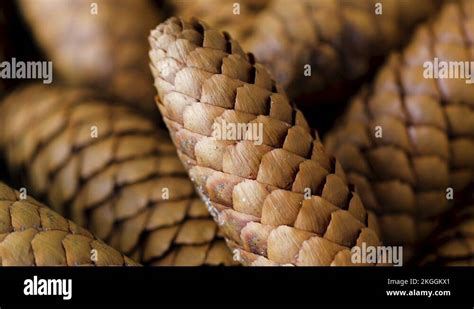 Cone Structure Stock Videos And Footage Hd And 4k Video Clips Alamy