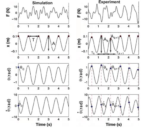 Exemplary Profiles From Inverse Dynamics Simulations And Corresponding