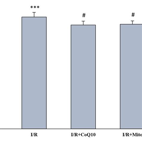 Mitotracker™ Red Labeling Of The Isolated Mitochondria And Tracking Download Scientific Diagram