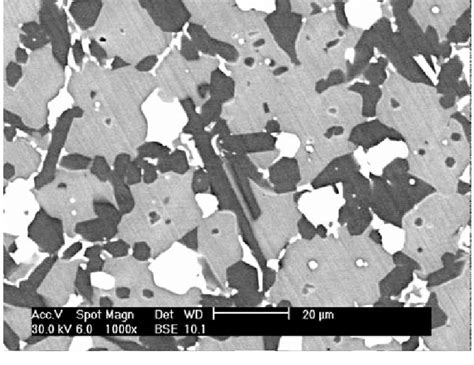 Microstructure Of Stellite 3 Download Scientific Diagram