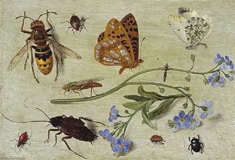 Buy Museum Art Reproductions Insects By Jan Van Kessel The Elder 1626