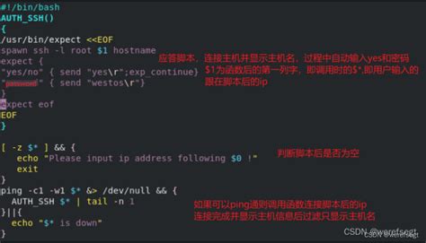45 Shell的执行流控制 Csdn博客