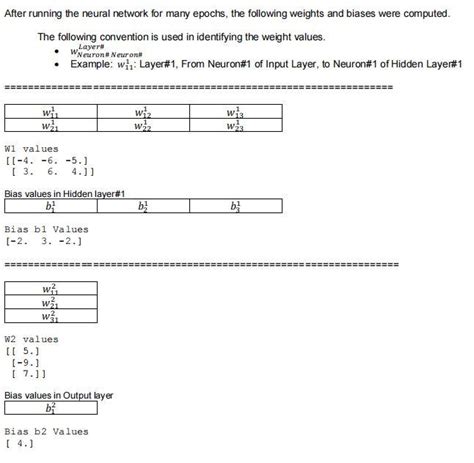 Solved Compute The Output Of A Neural Network Model Using