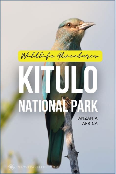 Tanzanias Garden Of The Gods In Kitulo National Park