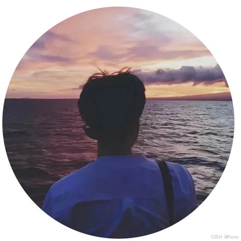 【数学建模】图论模型：从dijkstra算法到最小费用最大流实战dijkstra最小费用流 Csdn博客