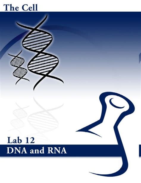 lab 12 dna and rna escience labs