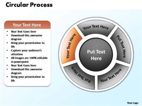 PowerPoint Design Business Circular Process Ppt Themes