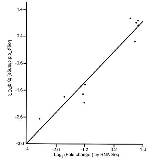 Correlation Between QPCR Data And RNA Seq Data Each Point Represents Download Scientific
