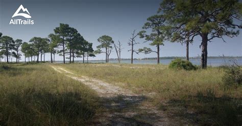 Best Trails In Dr Julian G Bruce St George Island State Park