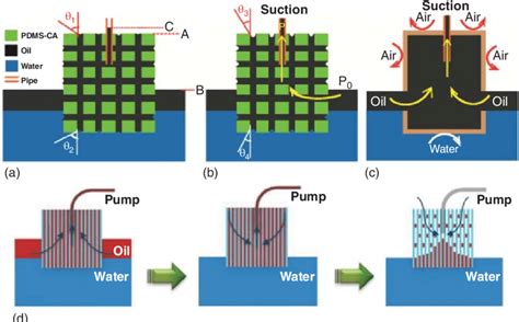 21 A C Simulation Schematic Representations Of A Biobased Aerogel Download Scientific Diagram
