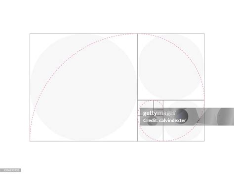 Golden Ratio Fibonacci Sequence Editable Strokes High Res Vector